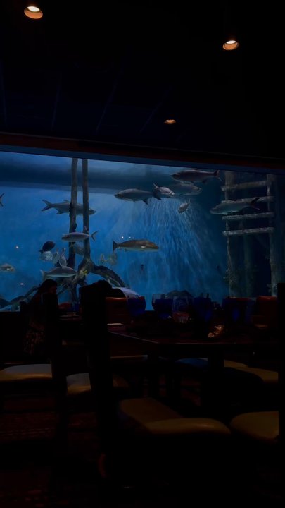 RUMFISH GRILL - Updated August 2025 - 1042 Photos & 902 Reviews - 6000 ...