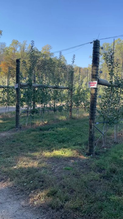 DEMAREST FARM - Updated October 2025 - 871 Photos & 366 Reviews - 244 ...