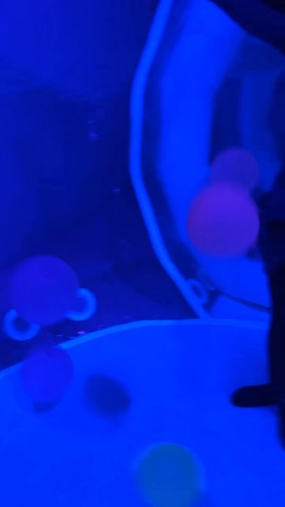 WONDER CHAMBER - Updated January 2026 - 104 Photos & 56 Reviews - 8800 ...