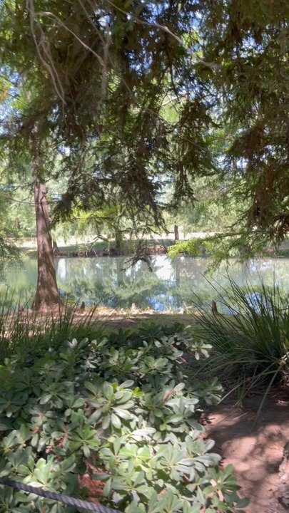 WILD WATER ADVENTURE PARK - Updated December 2025 - 149 Photos & 198 ...