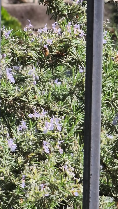 CRŪ WINERY - Updated January 2026 - 117 Photos & 73 Reviews - 20146 Rd ...