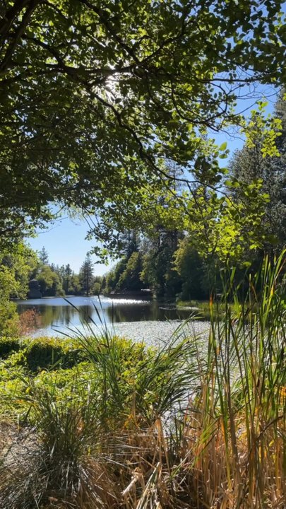 LAKE FULMOR - Updated May 2026 - 173 Photos & 42 Reviews - Hall Decker ...