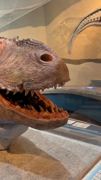 WESTERN SCIENCE CENTER - Updated June 2025 - 248 Photos & 76 Reviews ...