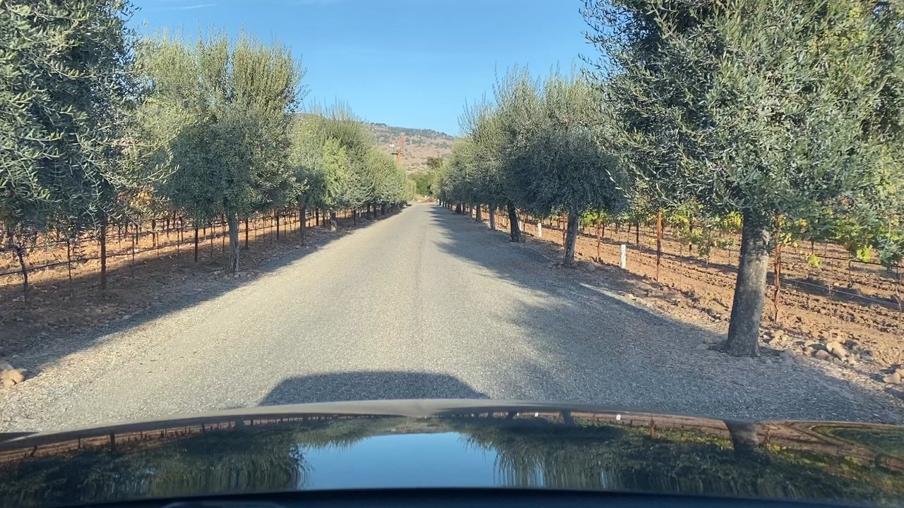 HAGAFEN CELLARS - Updated May 2026 - 519 Photos & 536 Reviews - 4160 ...