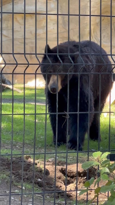 ORANGE COUNTY ZOO - Updated January 2025 - 1383 Photos & 387 Reviews ...