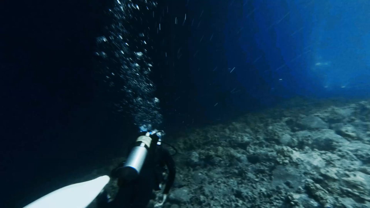 JACK’S DIVING LOCKER - Updated July 2025 - 264 Photos & 553 Reviews ...