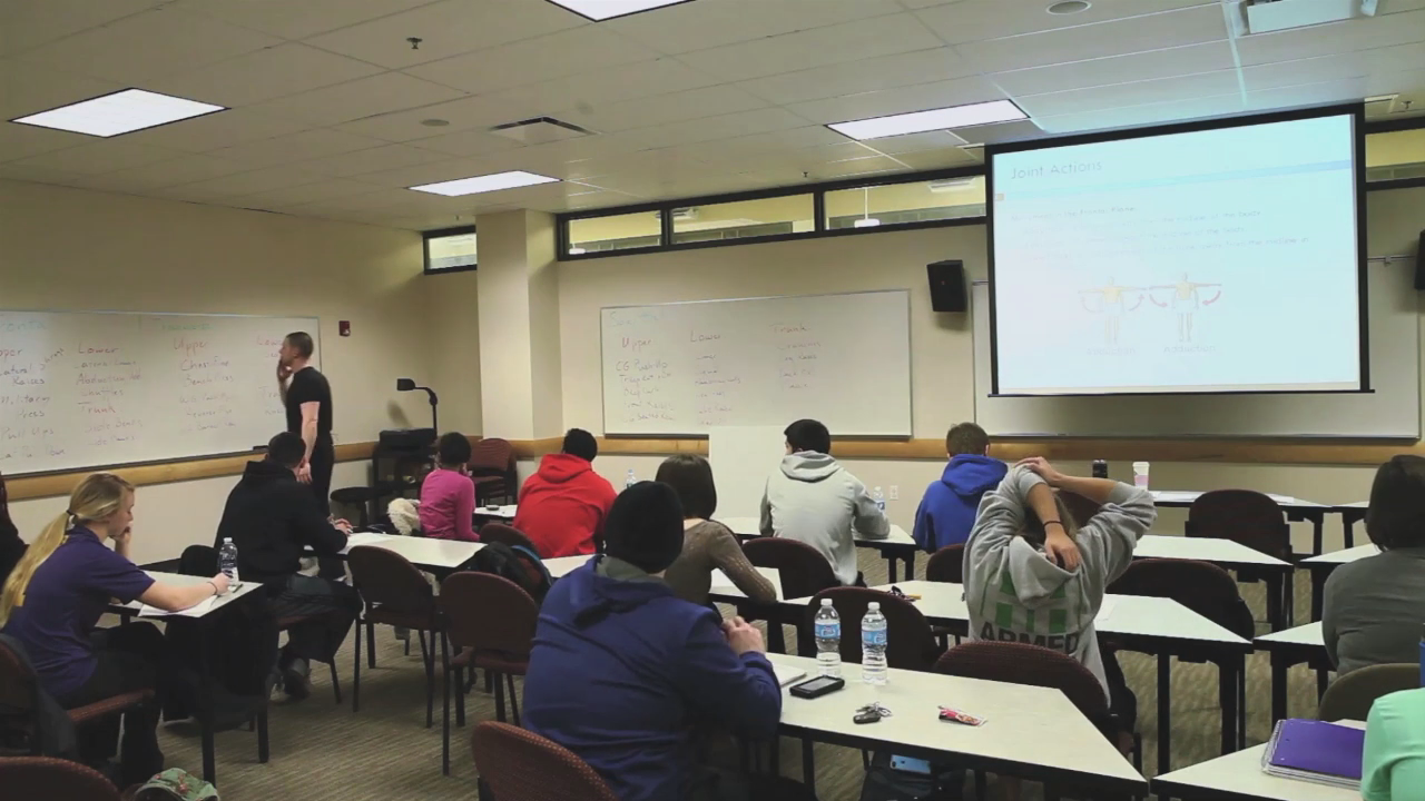 Functional Anatomy - Brookbush Institute