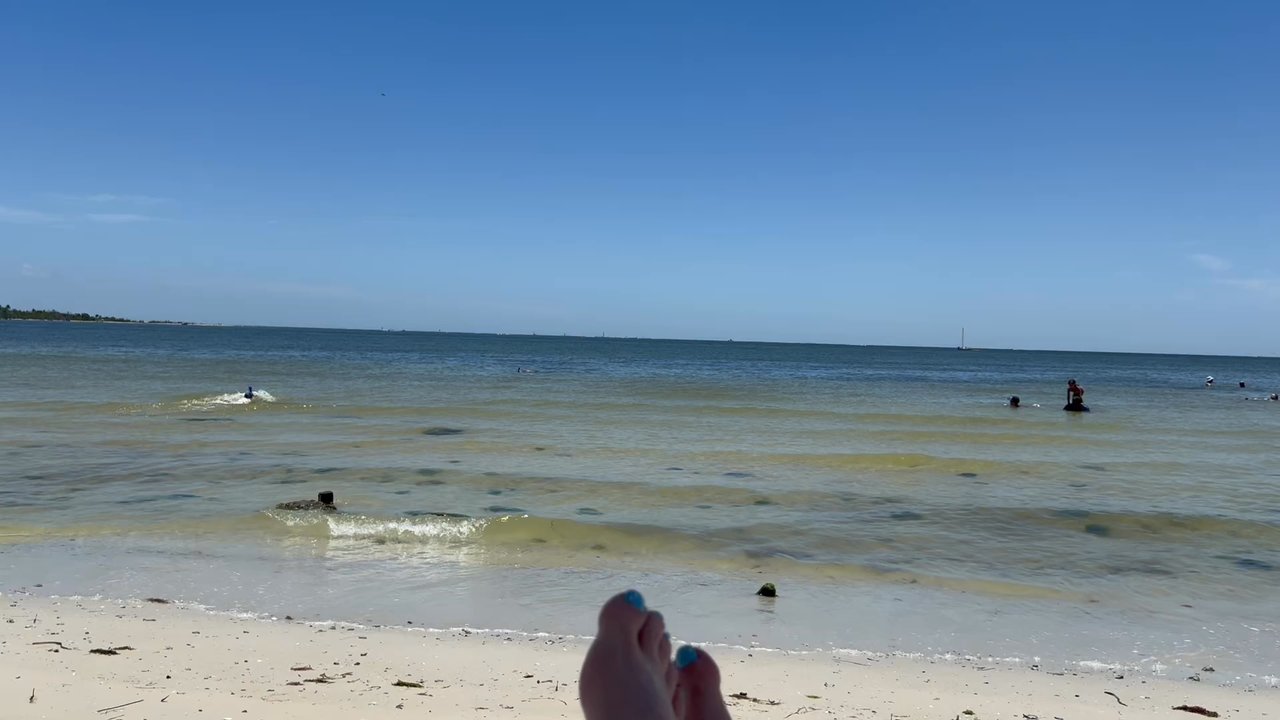 BUNCHE BEACH PRESERVE - Updated May 2026 - 102 Photos & 36 Reviews ...