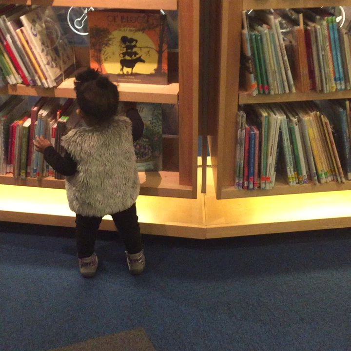 INDIANAPOLIS CENTRAL PUBLIC LIBRARY - Updated January 2025 - 445 Photos ...