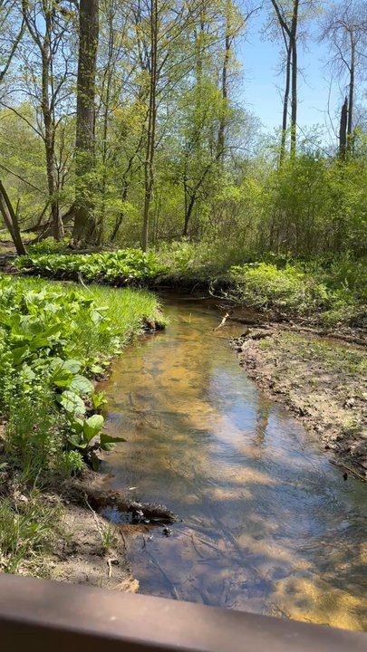 STAGE NATURE CENTER - Updated May 2026 - 87 Photos & 17 Reviews - 6685 ...