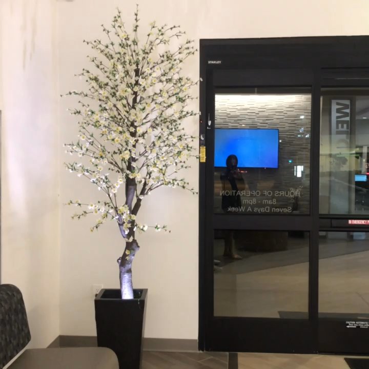 CLINEVA URGENT CARE - Updated December 2025 - 34 Photos & 181 Reviews ...