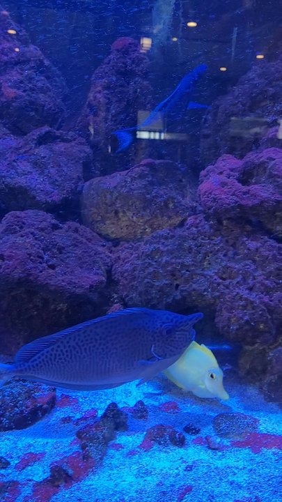 TAN WONG RESTAURANT - Updated December 2025 - 141 Photos & 89 Reviews ...