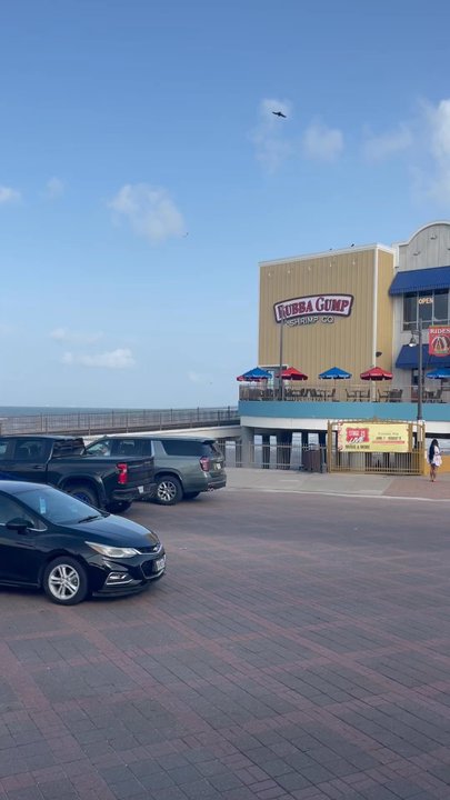 FISH TALES - Updated April 2025 - 875 Photos & 1295 Reviews - 2502 ...