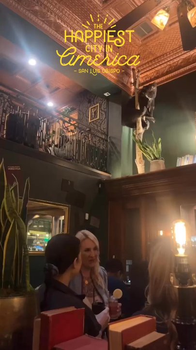 FERAL KITCHEN & LOUNGE - Updated February 2025 - 98 Photos & 31 Reviews ...