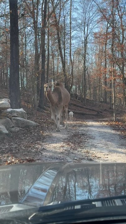 WILSTEM - Updated December 2025 - 354 Photos & 89 Reviews - 4229 W US ...