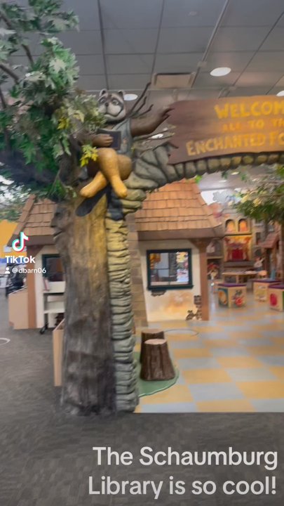 SCHAUMBURG TOWNSHIP DISTRICT LIBRARY - Updated December 2025 - 59 ...