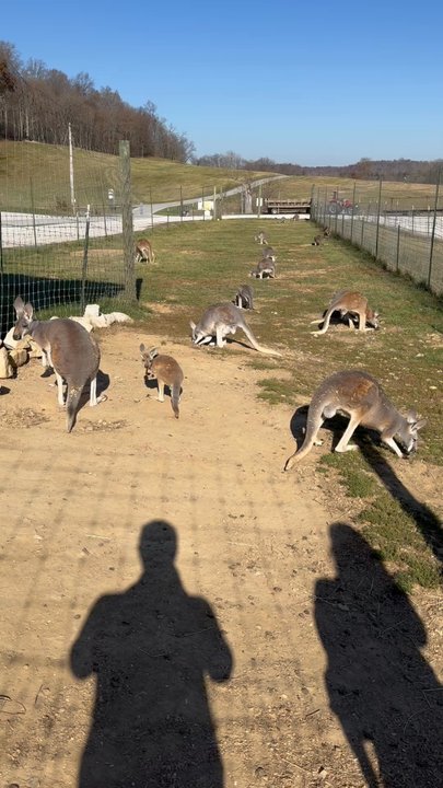 WILSTEM - Updated December 2025 - 354 Photos & 89 Reviews - 4229 W US ...