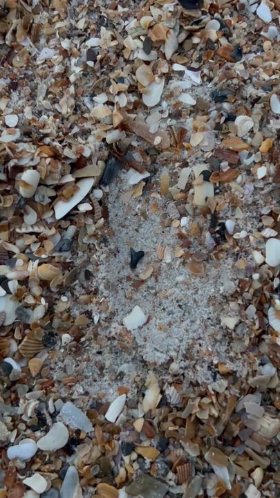 MICKLER’S BEACH - Updated October 2025 - 1324 Photos & 85 Reviews ...