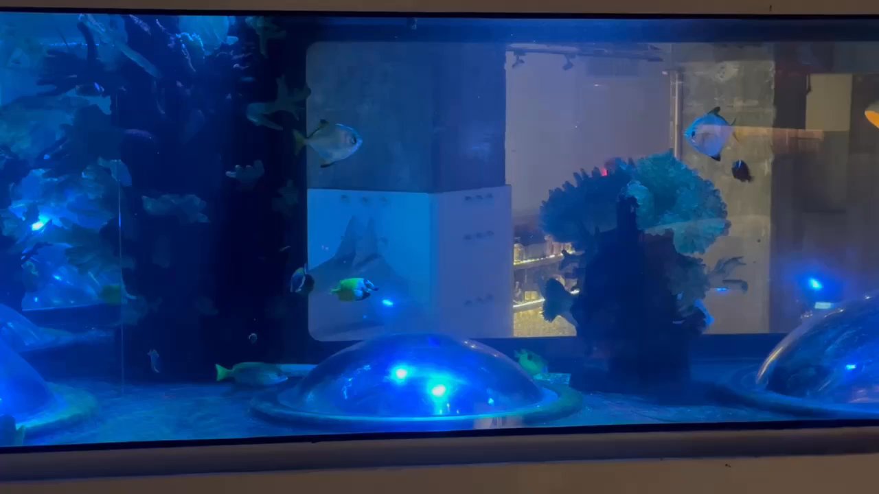 MRS FISH - VENUE & EVENTS - Updated December 2025 - 199 Photos & 61 ...