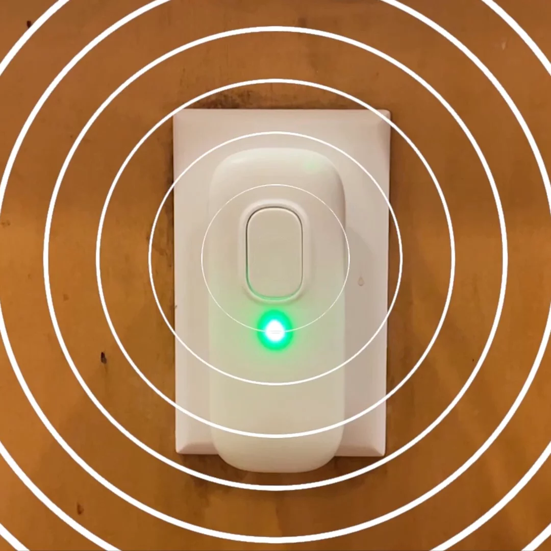 Bye Critter | Keep Your Property Pest-Free For Good