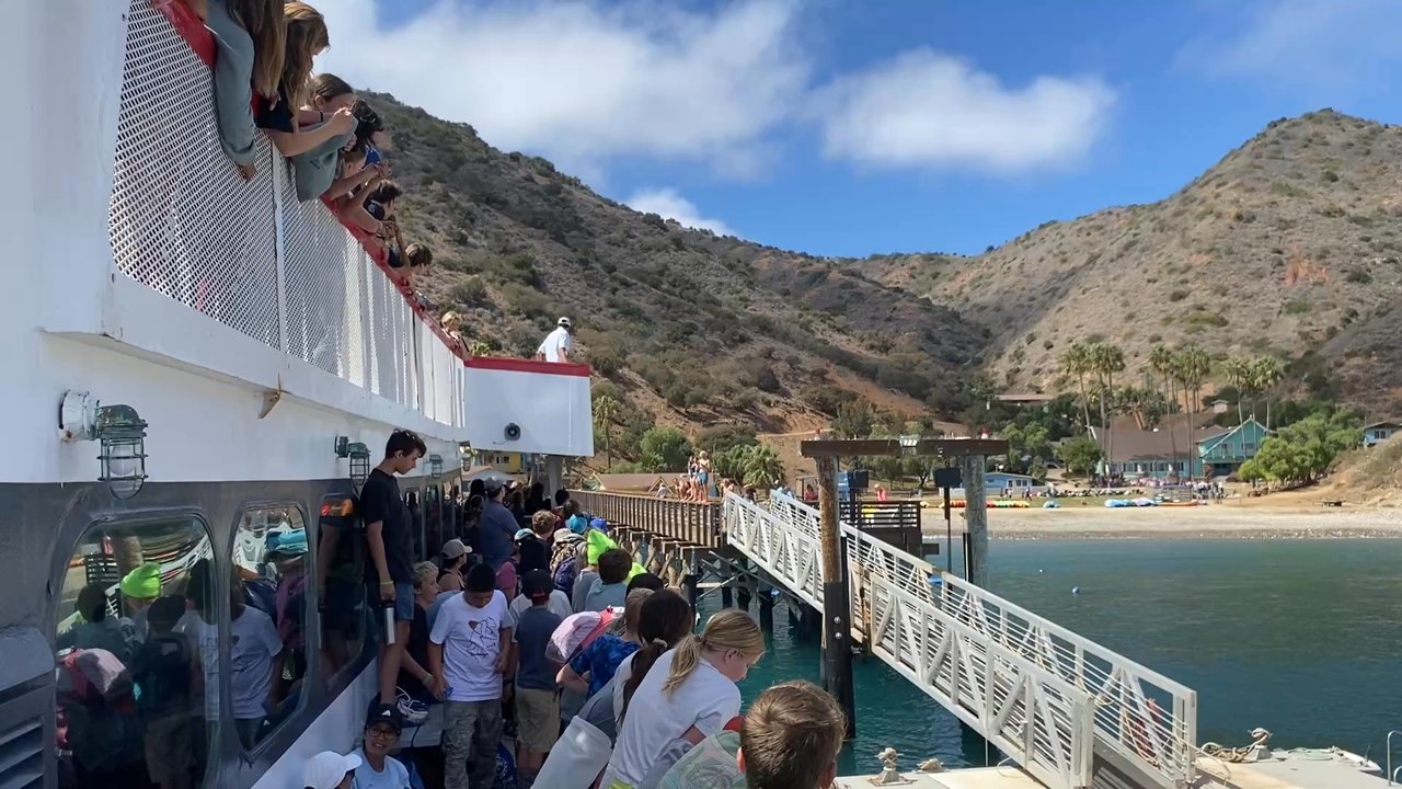 CATALINA ISLAND MARINE INSTITUTE - Updated May 2026 - 63 Photos & 43 ...