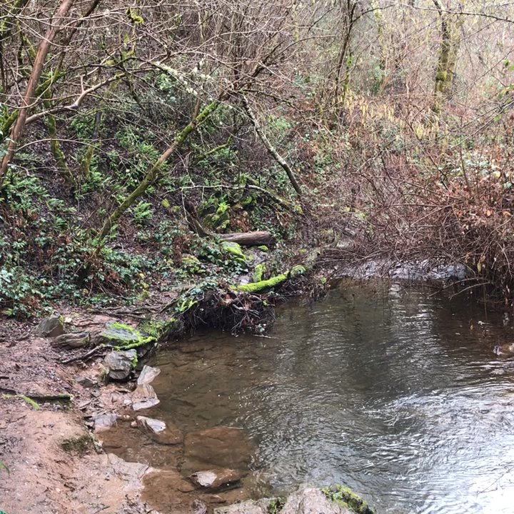 HIDDEN FALLS REGIONAL PARK - Updated October 2025 - 1163 Photos & 271 ...