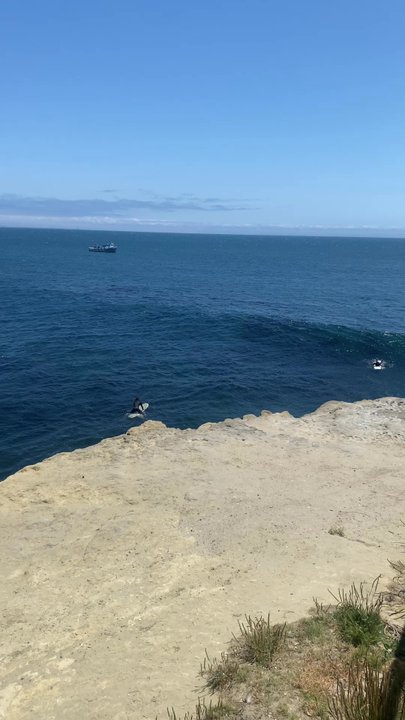 LIGHTHOUSE FIELD STATE BEACH - Updated January 2026 - 533 Photos & 127 ...