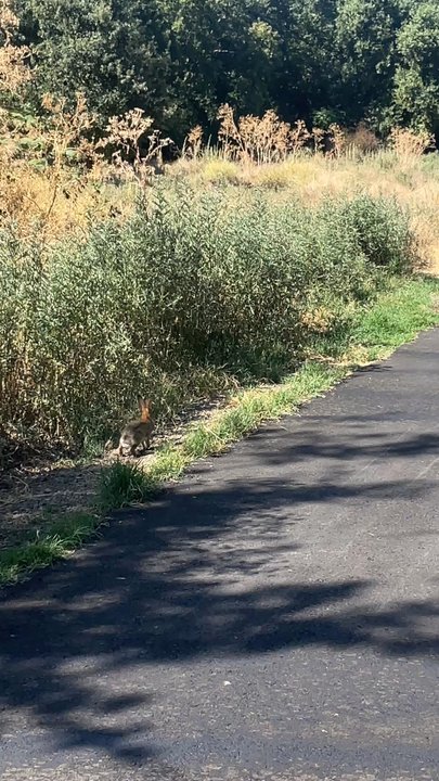 ANCIL HOFFMAN GOLF COURSE - Updated December 2025 - 83 Photos & 81 ...