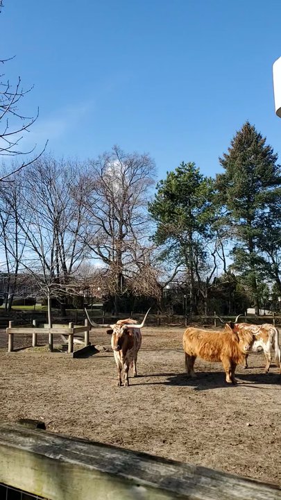 QUEENS ZOO - Updated October 2025 - 1132 Photos & 223 Reviews - 5351 ...