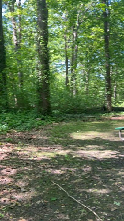 CHRISTOPHER MORLEY PARK - Updated October 2025 - 55 Photos & 32 Reviews ...