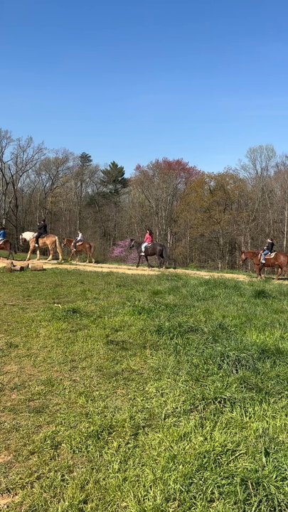 JAYELL RANCH - Updated May 2025 - 316 Photos & 337 Reviews - 1131 ...