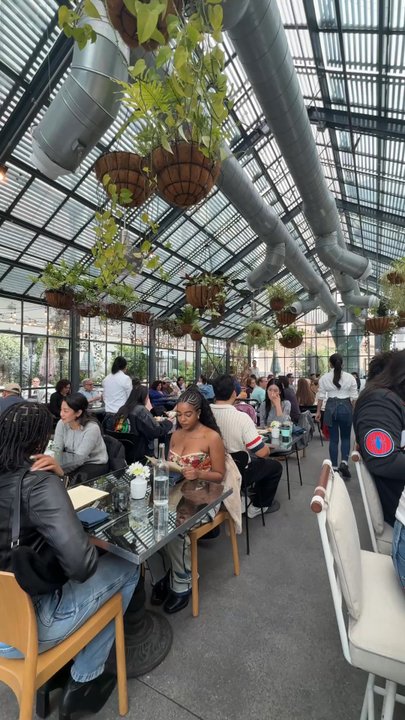 OPENAIRE - Updated June 2025 - 3359 Photos & 1784 Reviews - 3515 ...