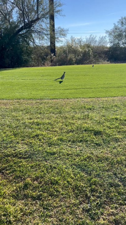 FRED ENKE GOLF COURSE - Updated August 2025 - 60 Photos & 26 Reviews ...