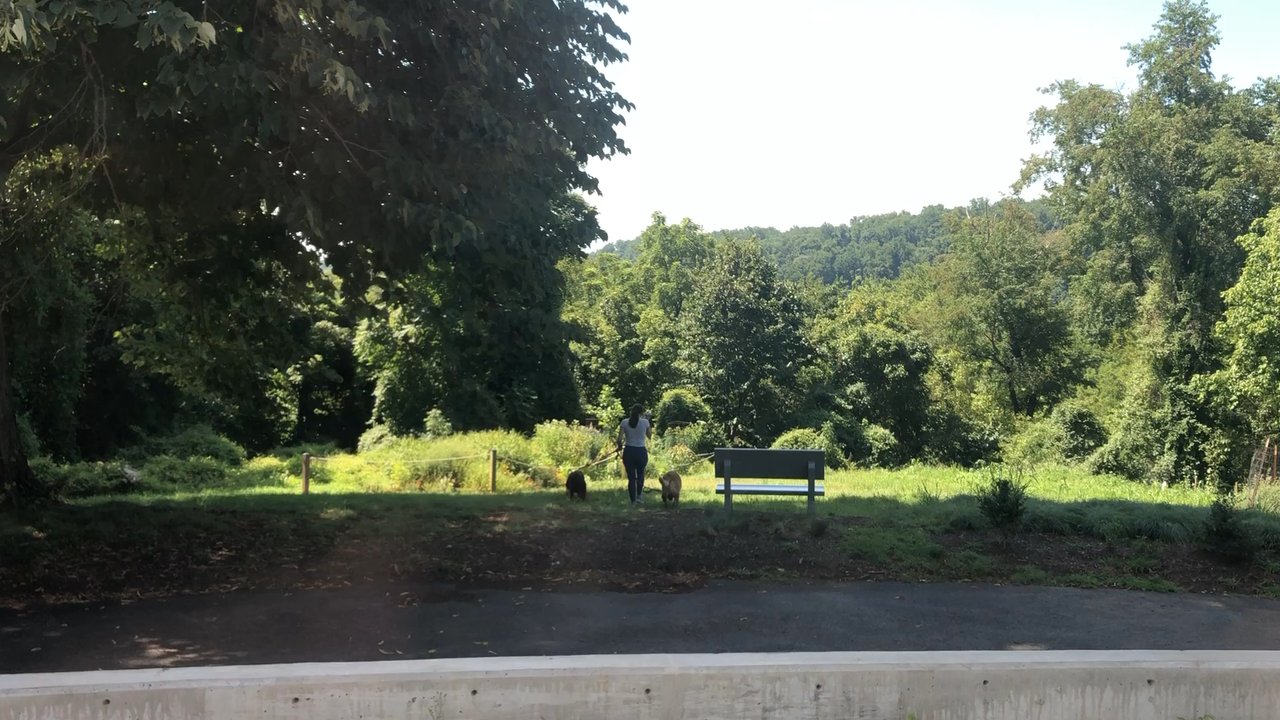 PALISADES RECREATION CENTER - Updated December 2025 - 73 Photos & 14 ...