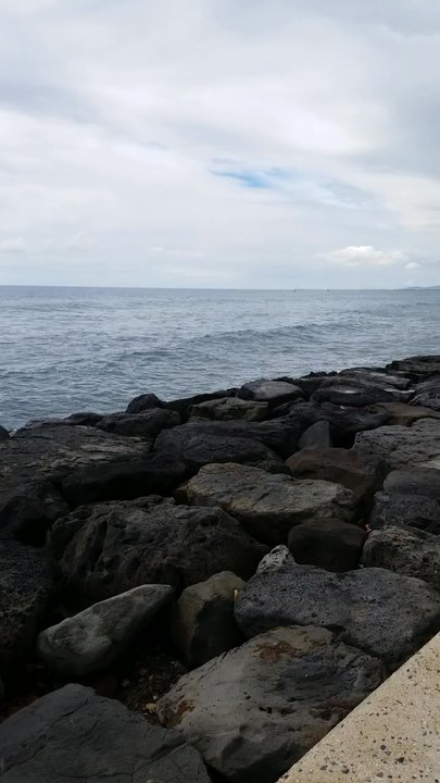 POINT PANIC BEACH PARK - Updated December 2025 - 469 Photos & 23 ...