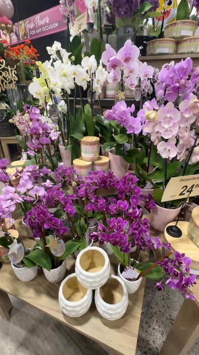 MARKET STREET - Updated December 2025 - 35 Photos & 21 Reviews - 2200 ...