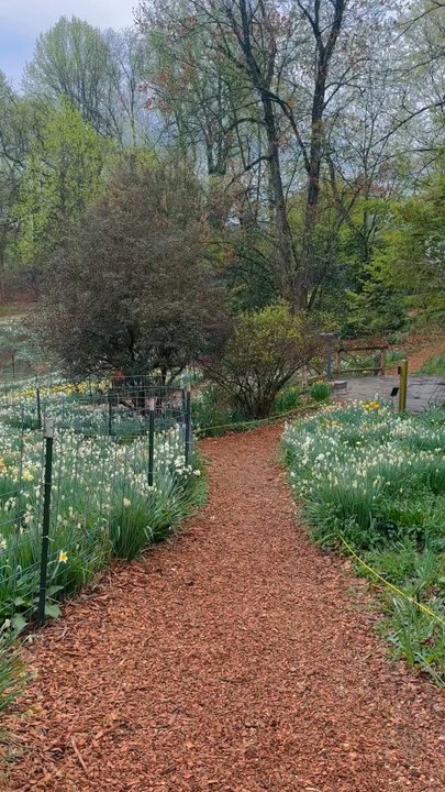 REEVES-REED ARBORETUM - Updated April 2026 - 409 Photos & 41 Reviews ...