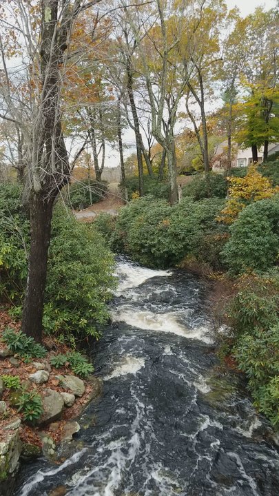 MOORE STATE PARK - Updated April 2026 - 58 Photos & 17 Reviews - 1 ...