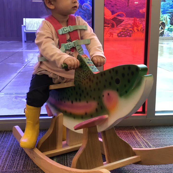 ELKRIDGE BRANCH LIBRARY - Updated December 2025 - 17 Photos & 13 ...