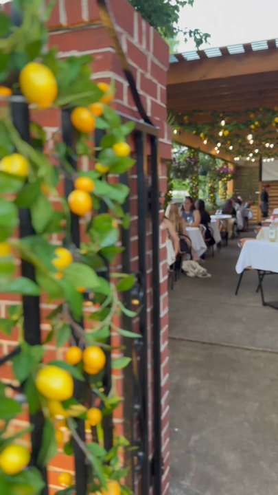 CAPRI - Updated October 2025 - 119 Photos & 49 Reviews - 757 S Front St ...