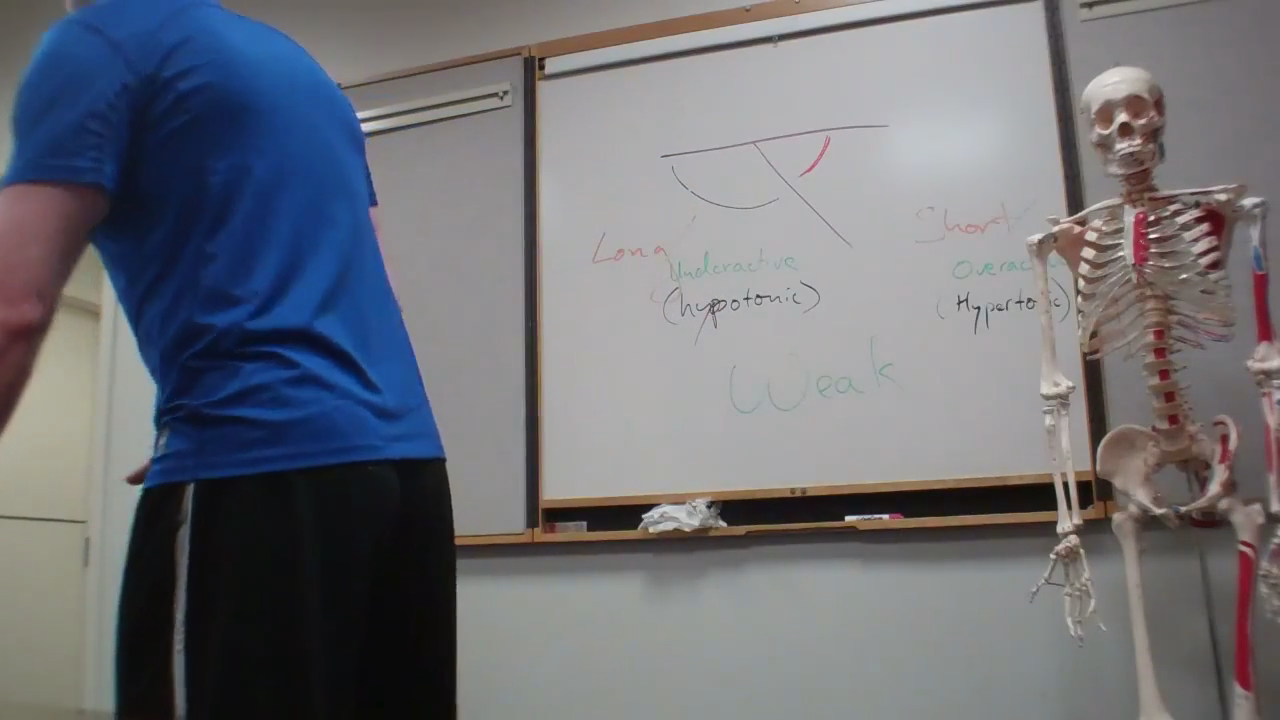 Workshop Snippets - Brookbush Institute