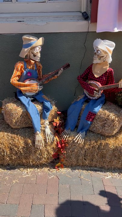 HISTORIC ST. CHARLES MAIN STREET - Updated December 2025 - 307 Photos ...