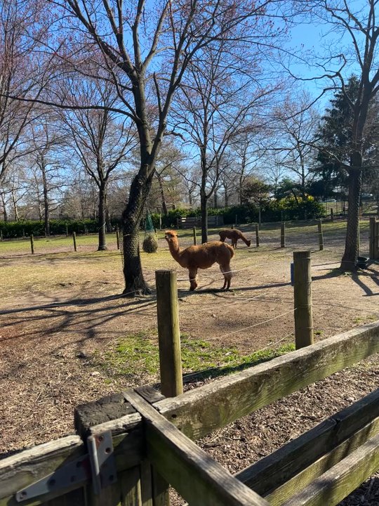 QUEENS ZOO - Updated June 2026 - 1132 Photos & 225 Reviews - 5351 111th ...