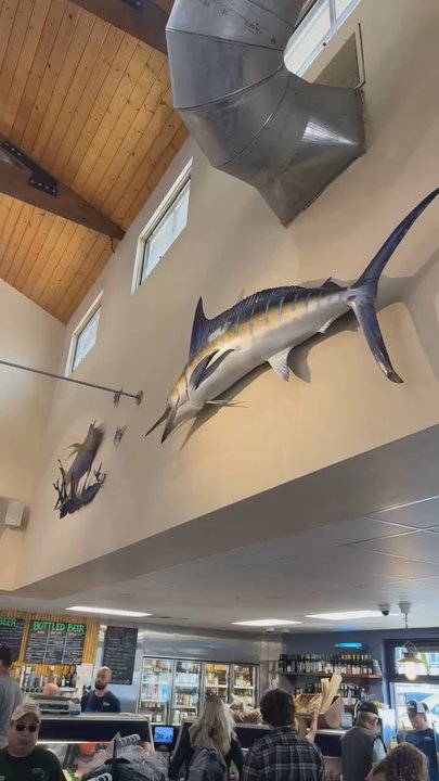 POINT LOMA SEAFOODS - Updated July 2025 - 3174 Photos & 2862 Reviews ...