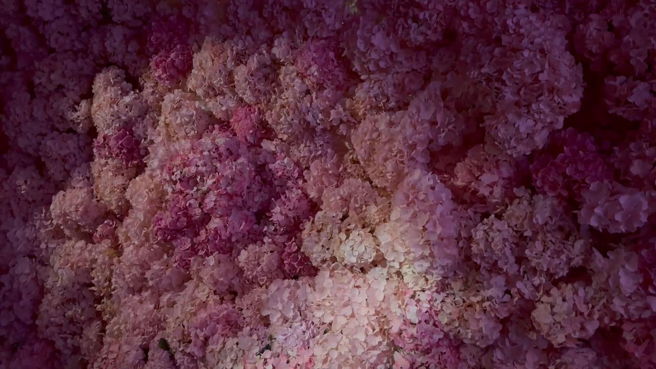 MERCER LABS - Updated January 2025 - 266 Photos & 93 Reviews - 21 Dey ...