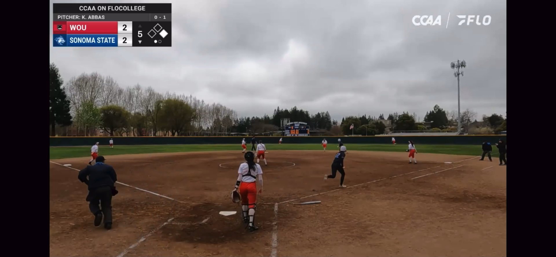 Softball Transfer portal announcements | FieldLevel