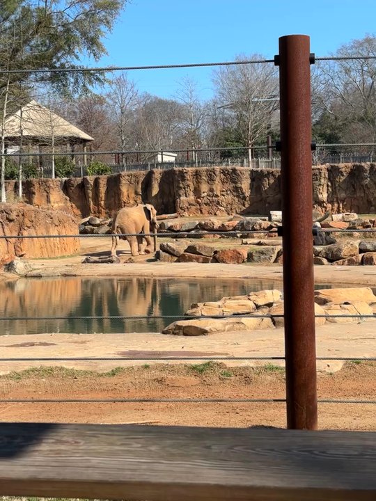 ZOO ATLANTA - Updated April 2025 - 2913 Photos & 670 Reviews - 800 ...