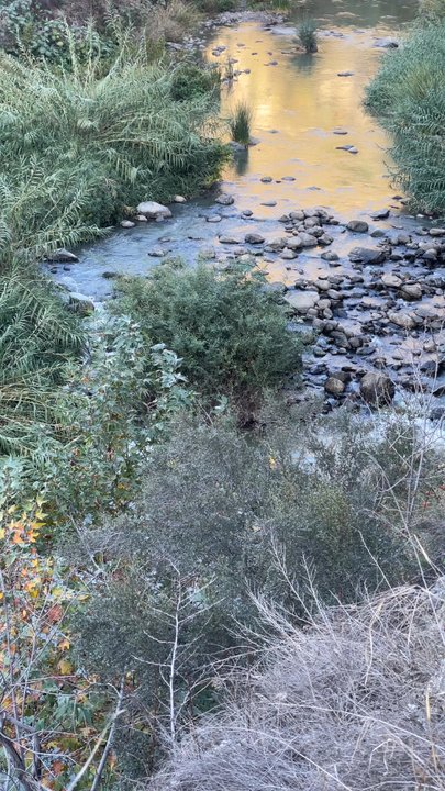 AZUSA RIVER WILDERNESS PARK - Updated January 2026 - 78 Photos & 23 ...