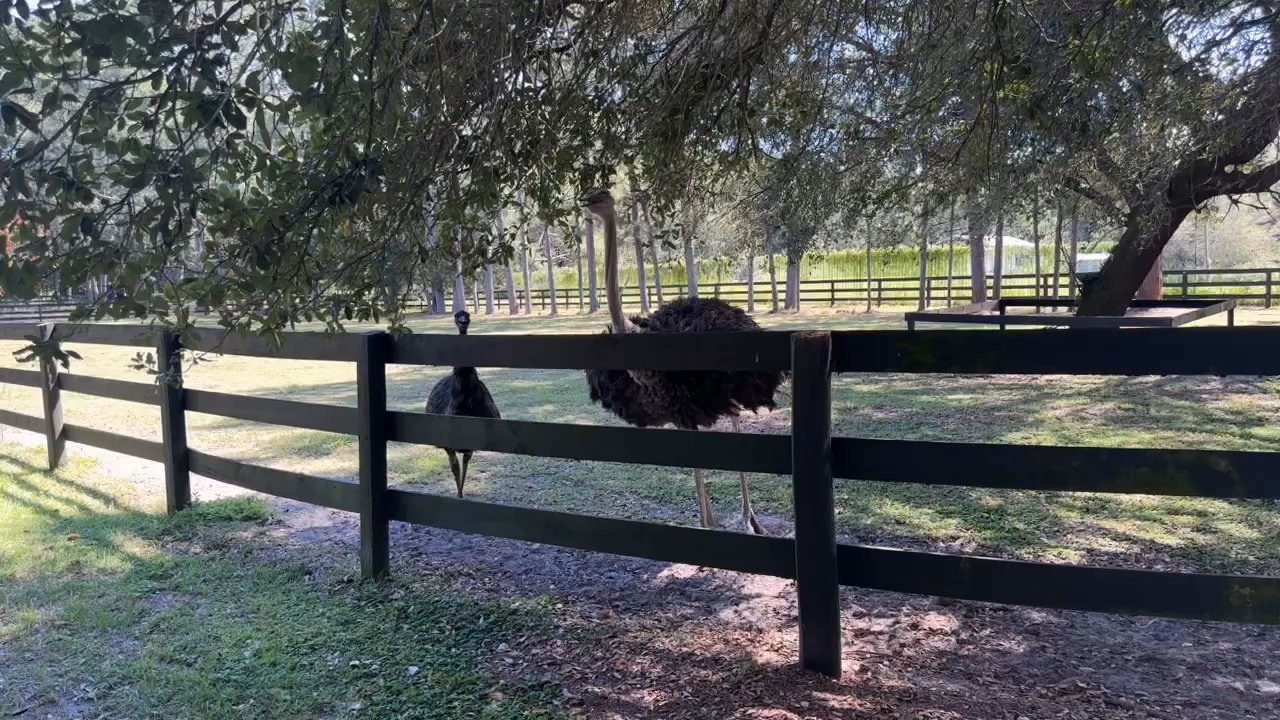 TWO TAILS RANCH - Updated December 2025 - 125 Photos & 94 Reviews ...