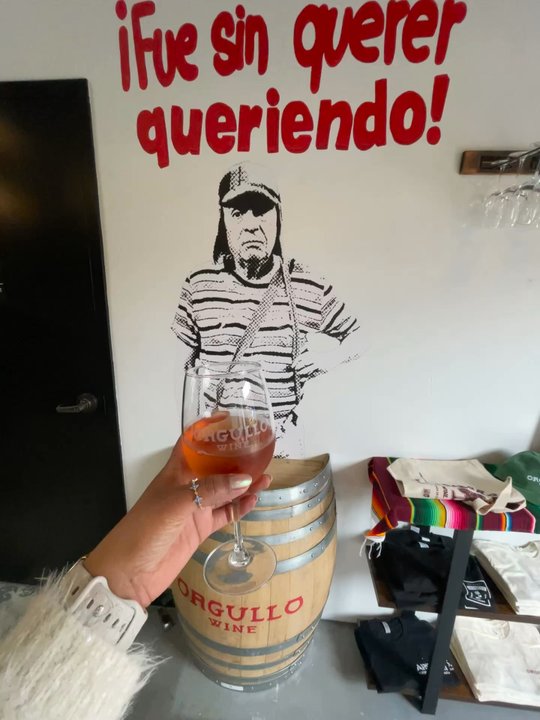 ORGULLO WINE - Updated June 2026 - 418 Photos & 292 Reviews - 137 ...